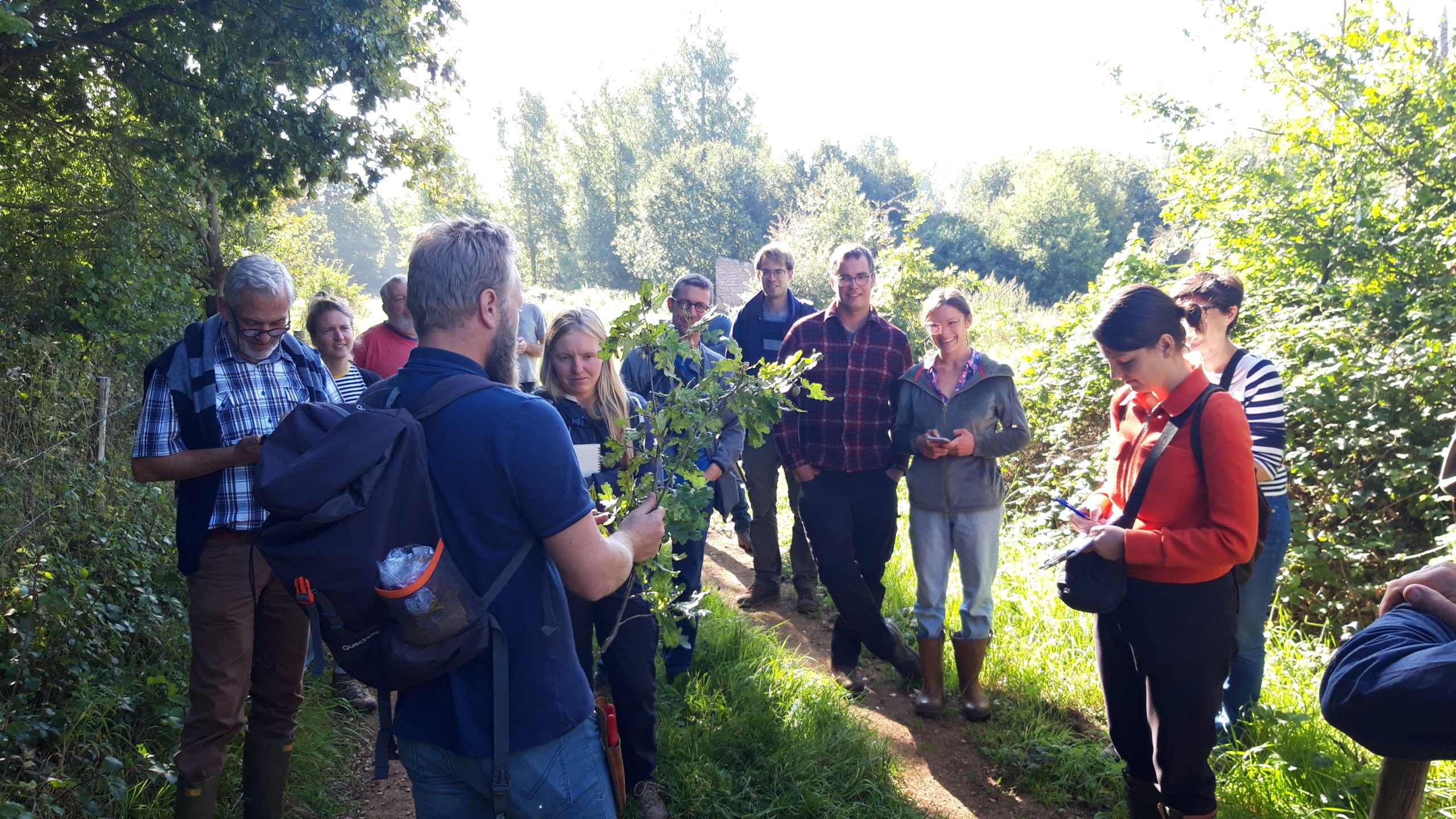 AGROMIX | Fodder trees for organic ruminants: excursion report Flanders